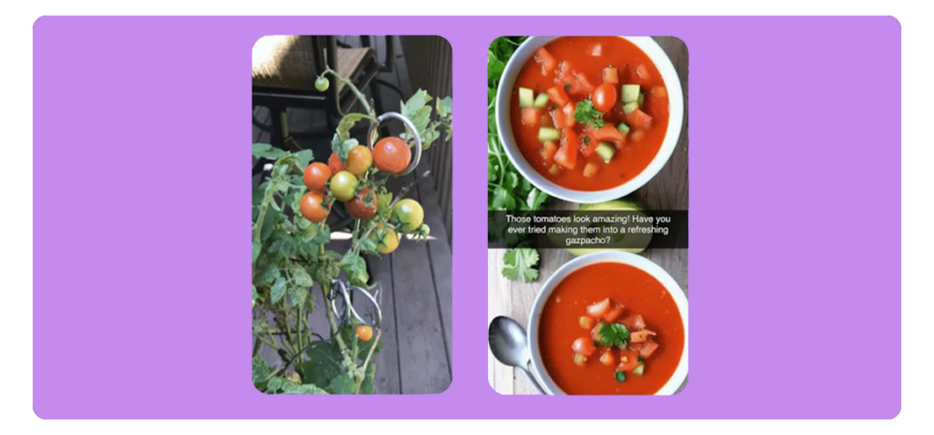 Snapchat's My AI responds to visual cues - Netizency